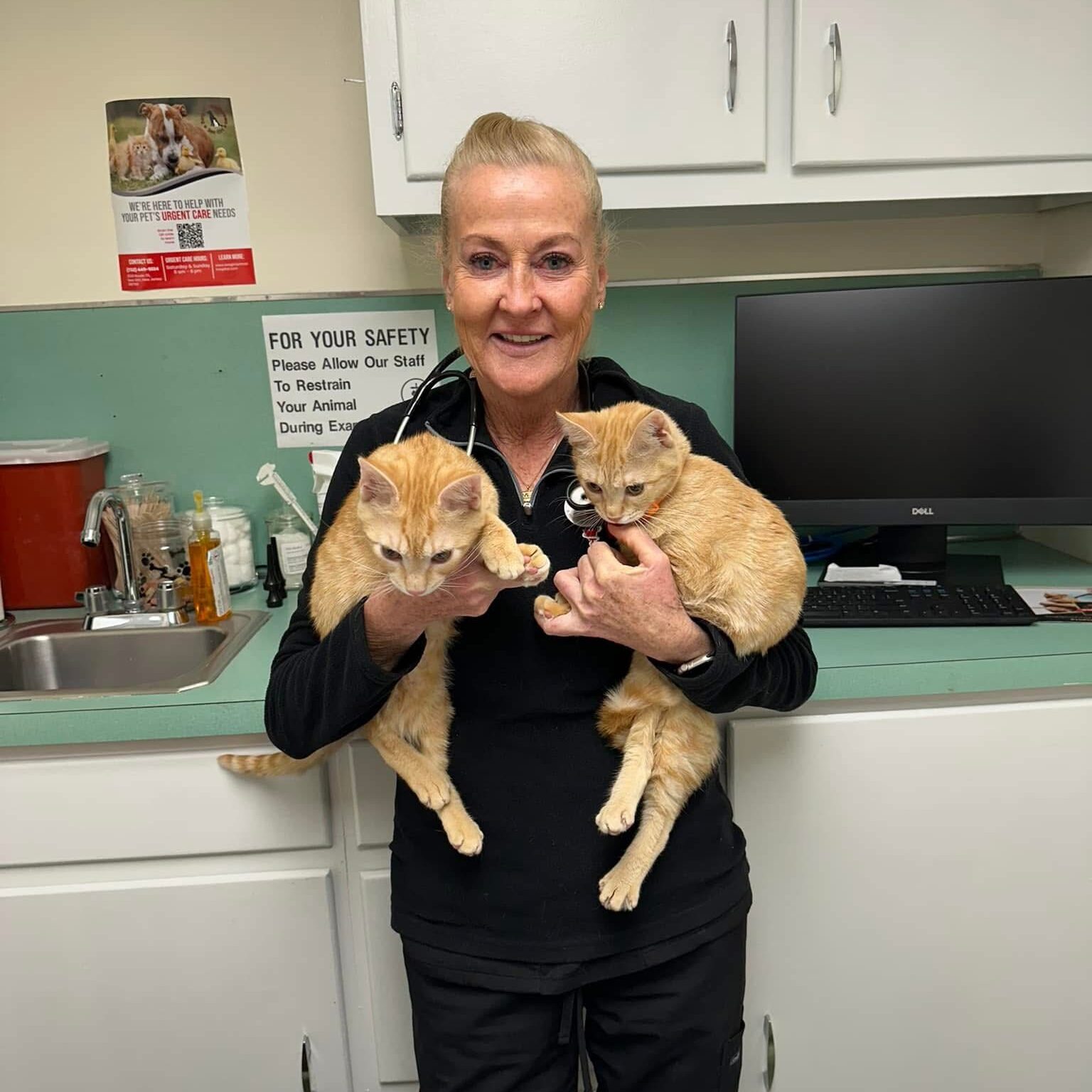 Deborah Adams, DVM | Sea Girt Animal Hospital