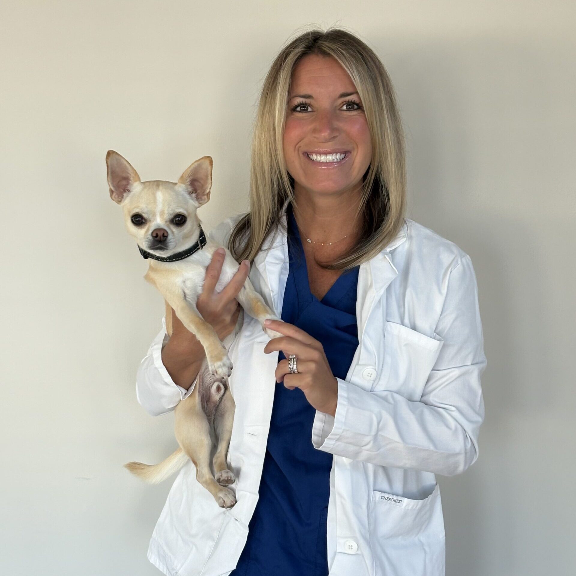 Jessica Palmisano DVM | Sea Girt Animal Hospital